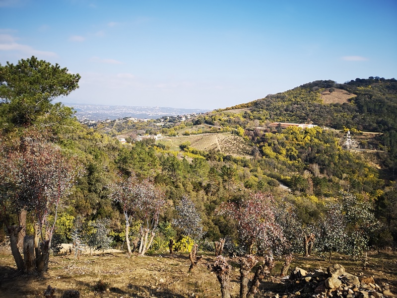Randonnée - Randonnée - Les crêtes du Tanneron