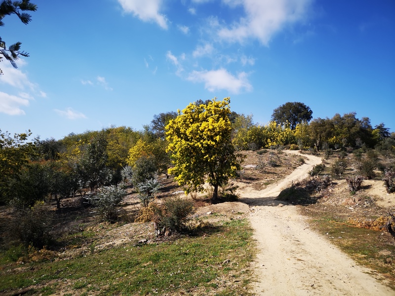 Randonnée - Randonnée - Les crêtes du Tanneron