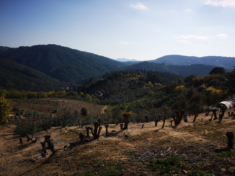 Randonnée - Randonnée - Les crêtes du Tanneron